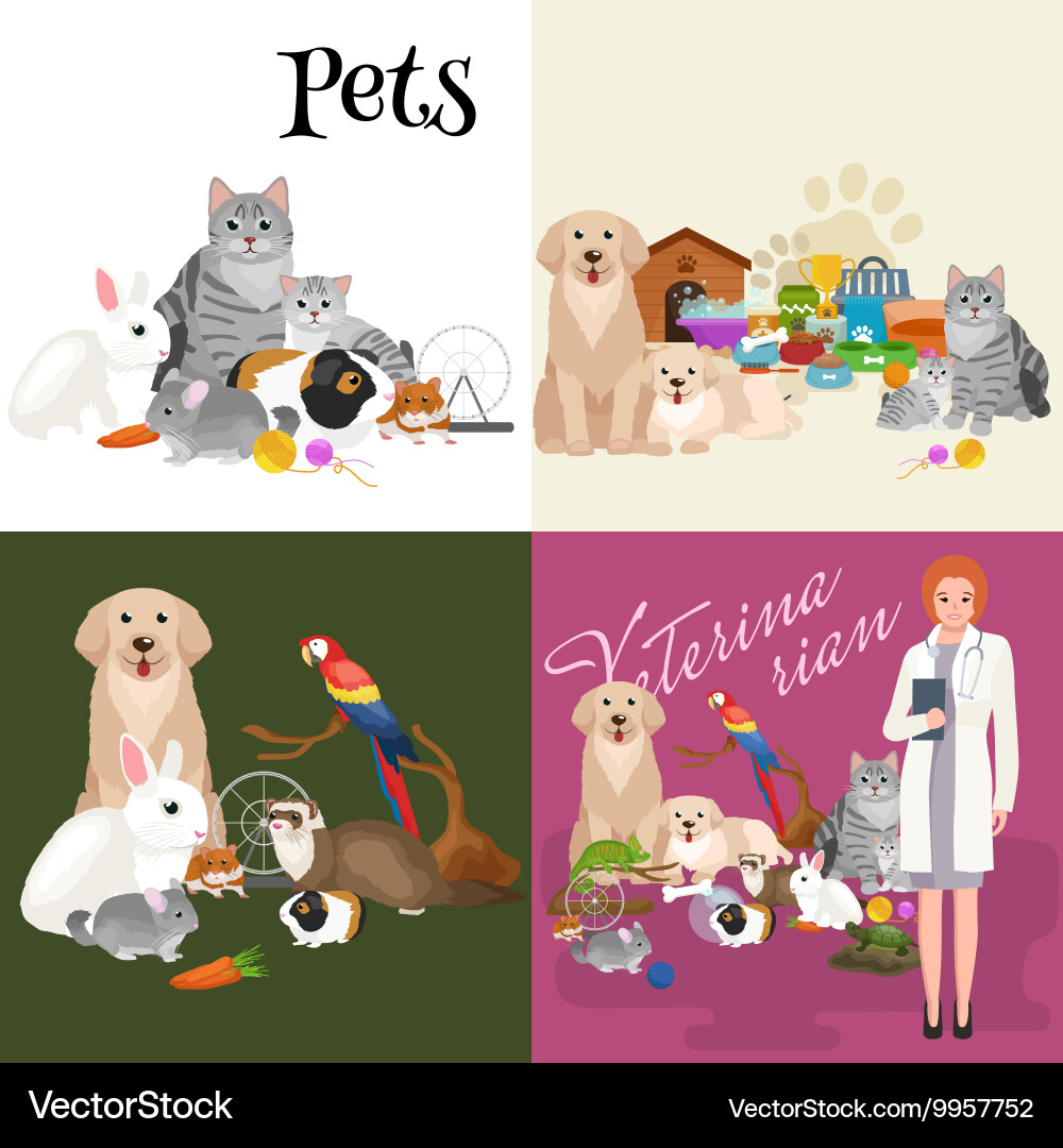 Group pets and veterinary doctor with animals Vector Image