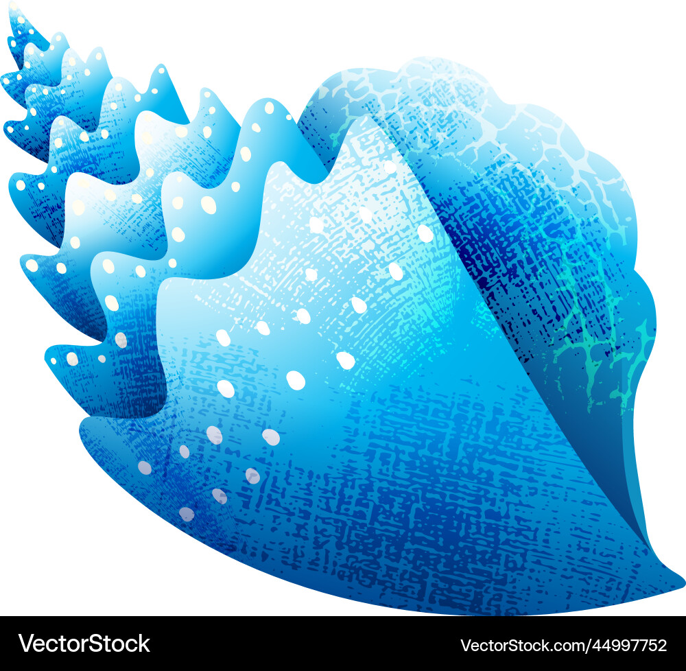 Hand drawn colorful conch fish sea shell drawing Vector Image