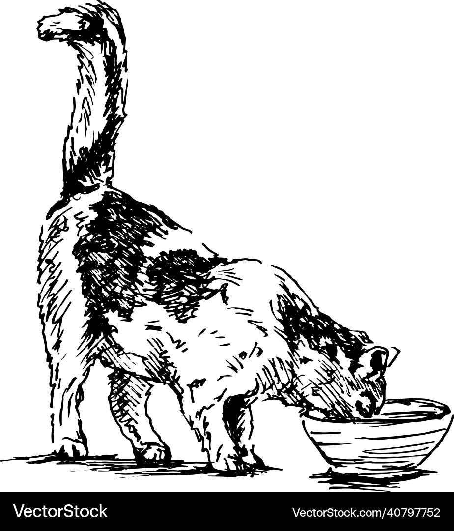 Hand sketch of a cat Royalty Free Vector Image