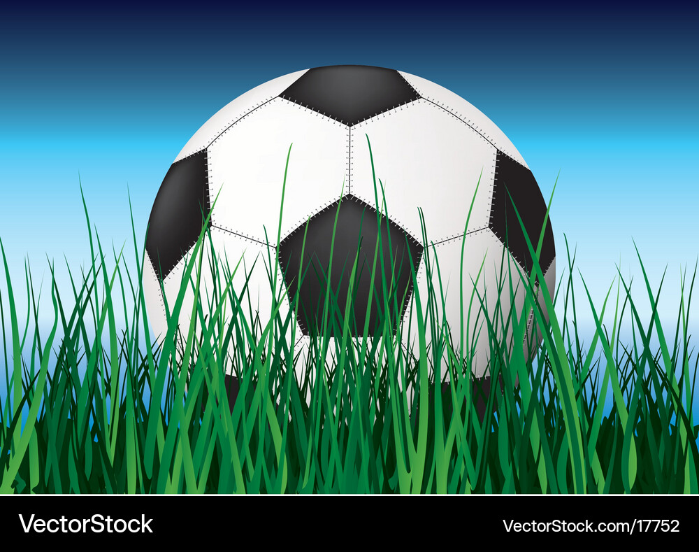 Soccer ball on grass Royalty Free Vector Image