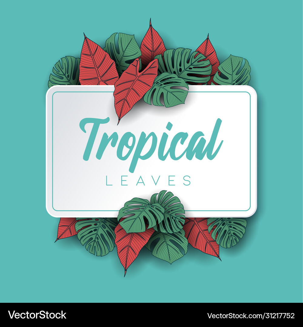 Tropical summer leaves background Royalty Free Vector Image