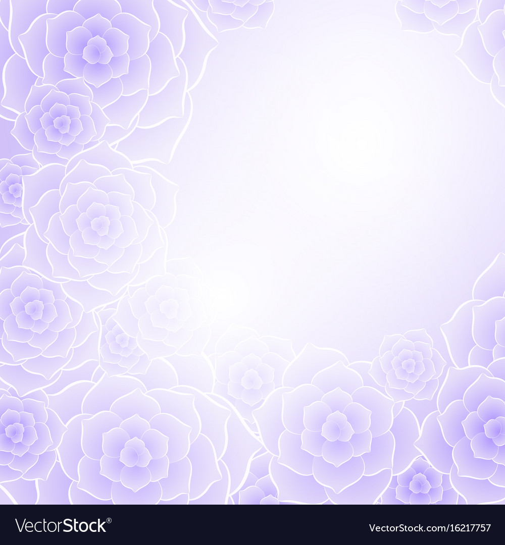 Beautiful purple rose flower background Royalty Free Vector