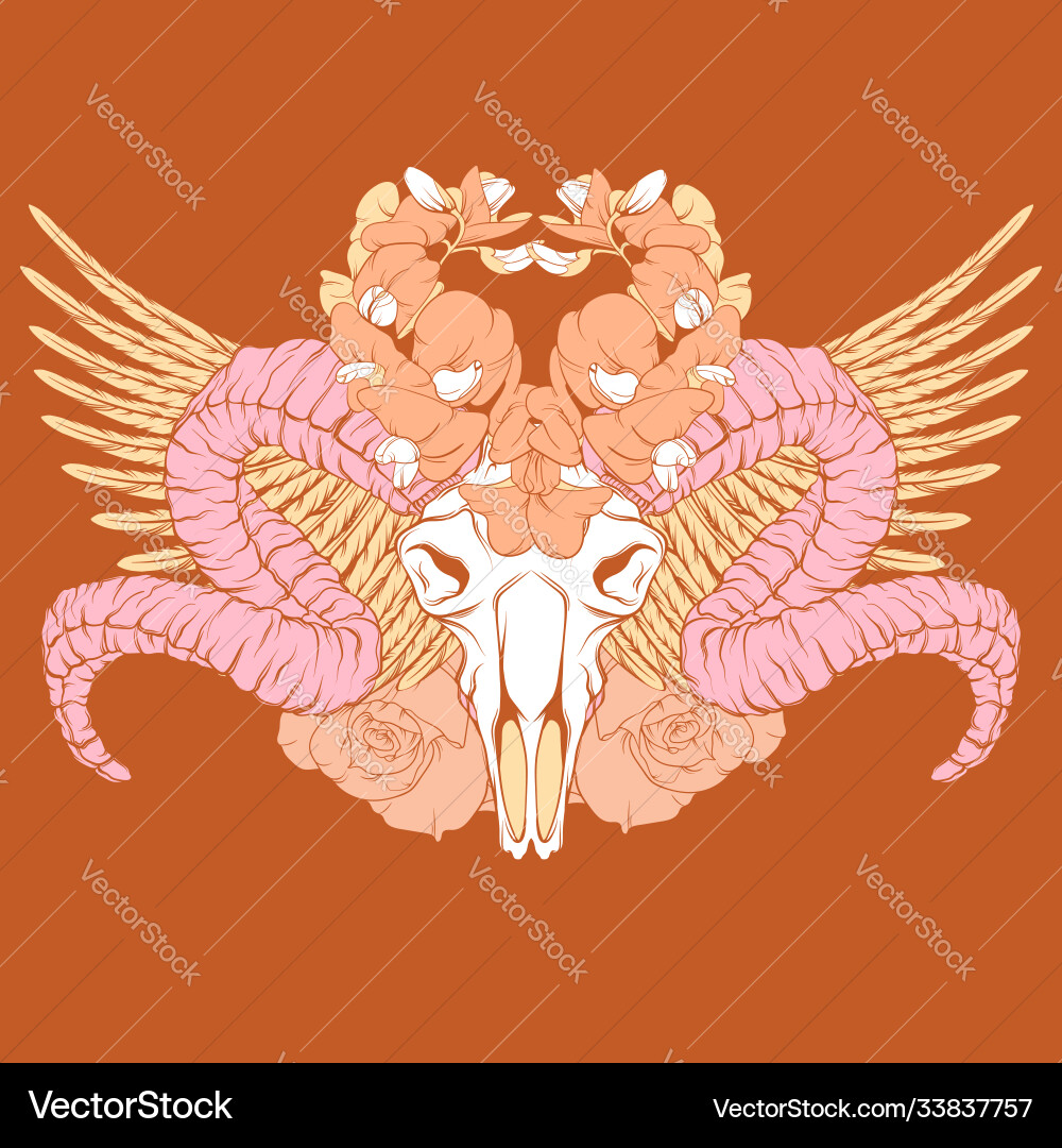 Colorful hand drawn artwork with skull ram Vector Image