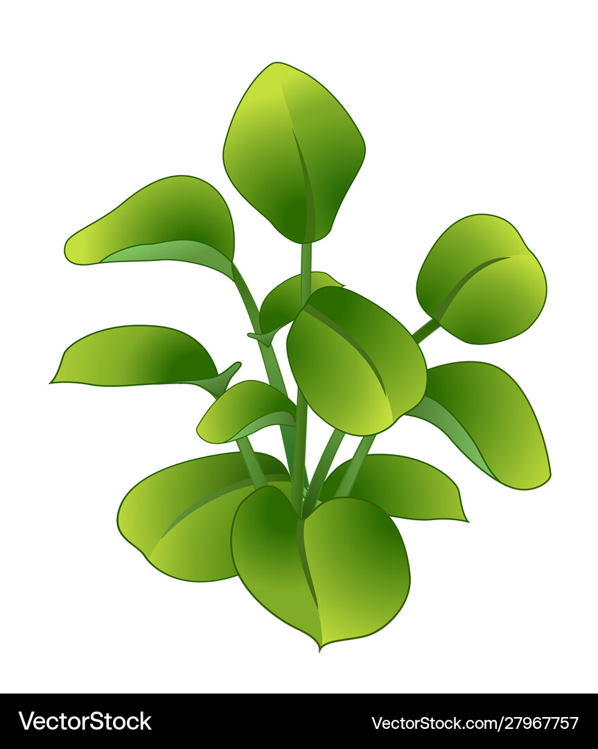 Cool green leaves cartoon Royalty Free Vector Image
