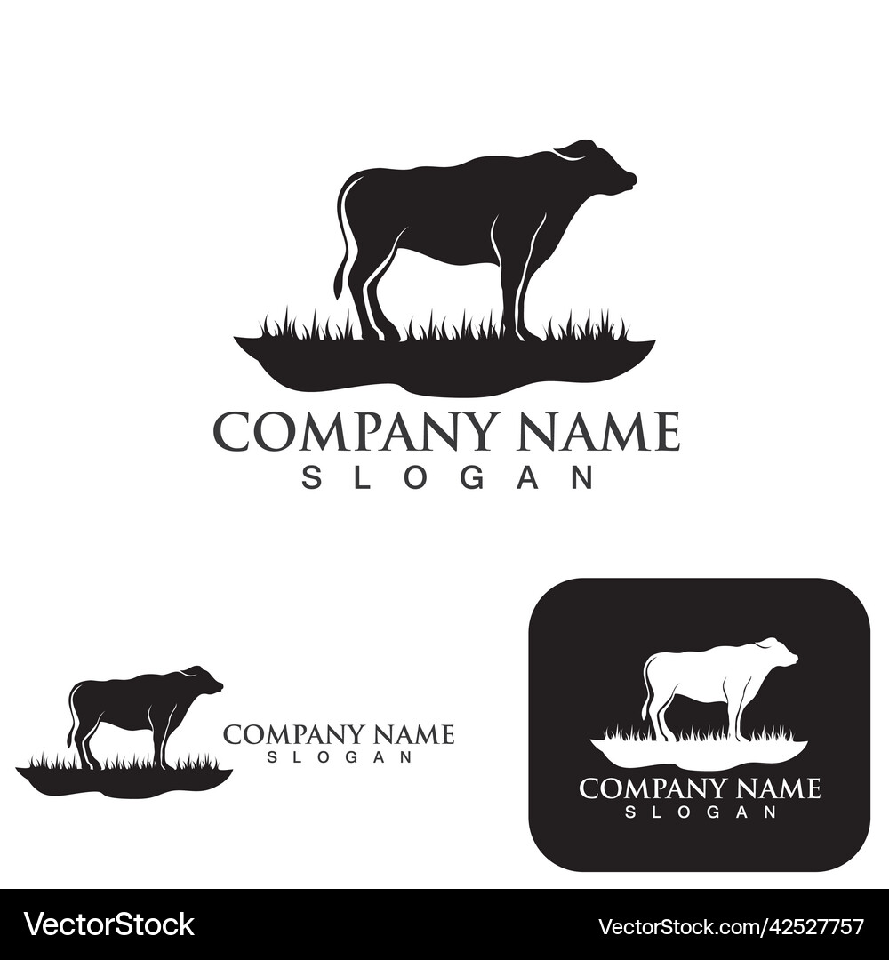 Cow head symbols and logo template Royalty Free Vector Image