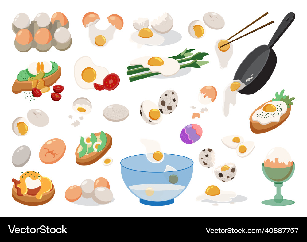 Eggs cooking set Royalty Free Vector Image - VectorStock