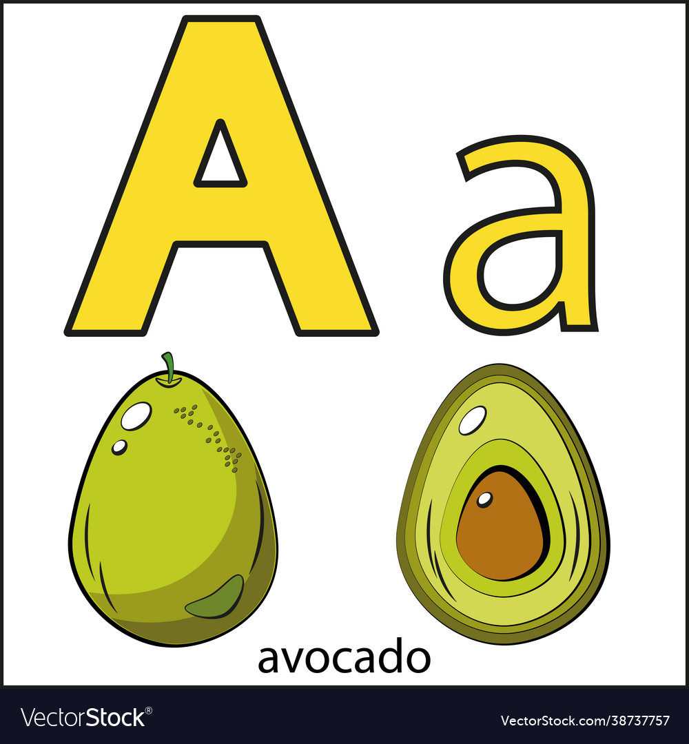 Letter a avocado fruit alphabet Royalty Free Vector Image