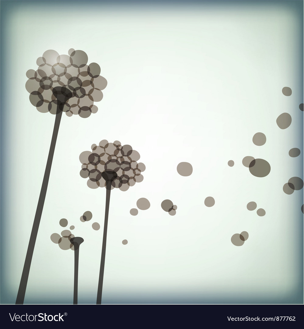 Dandelions Royalty Free Vector Image - VectorStock