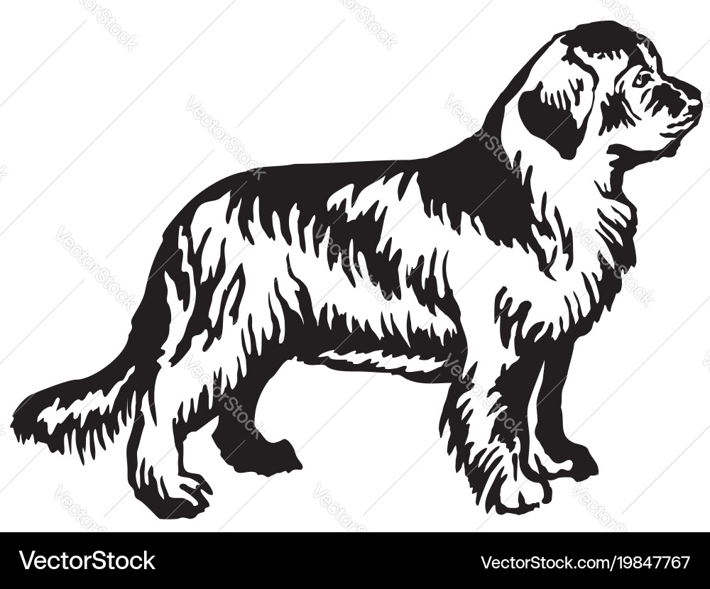 Decorative standing portrait newfoundland dog Vector Image