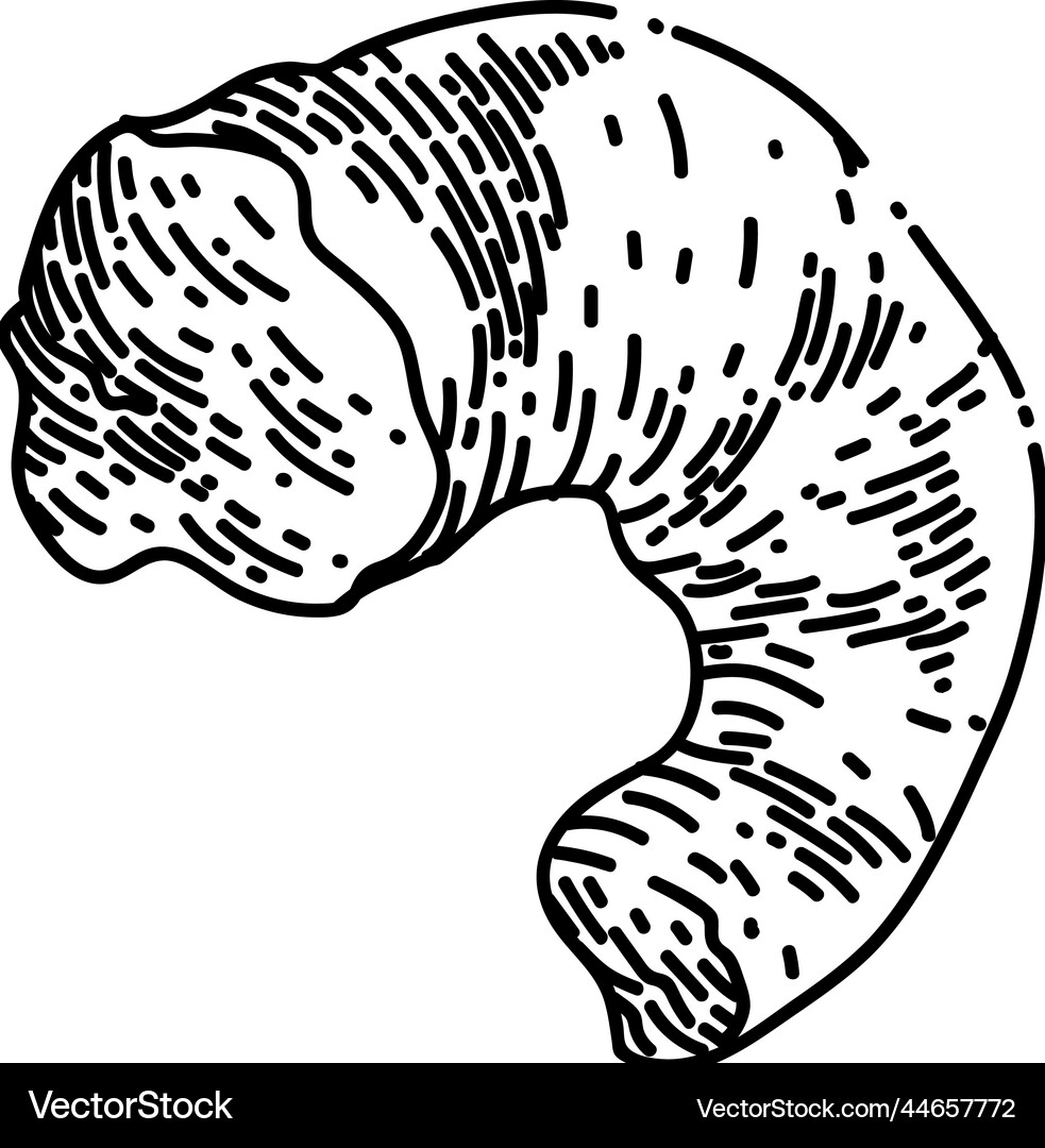 Shrimp peeled sketch hand drawn Royalty Free Vector Image