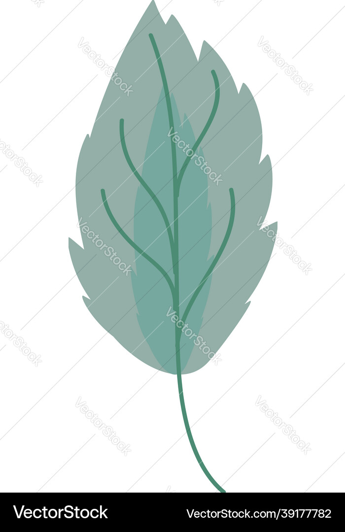 Growing tree green leaf garden eco nature Vector Image