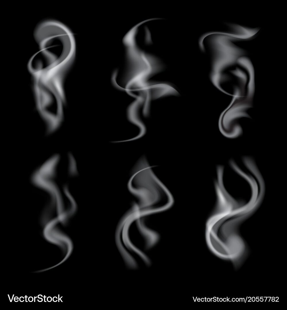 Set of delicate realistic cigarette smoke waves Vector Image