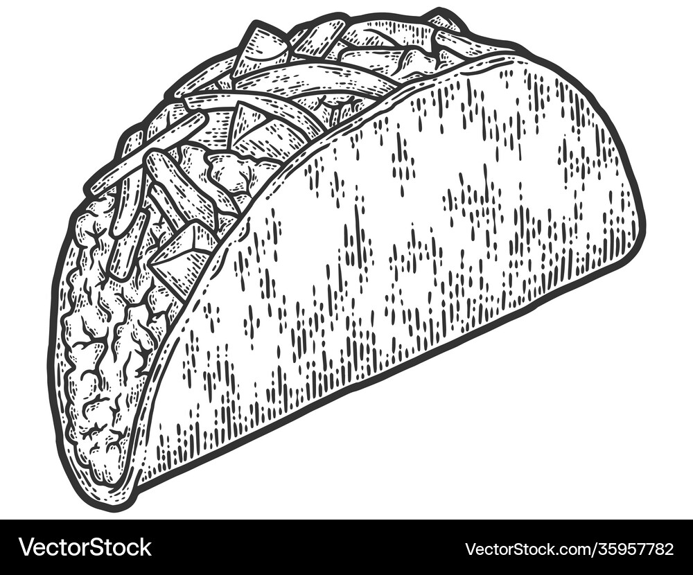 Taco traditional mexican dish sketch scratch Vector Image