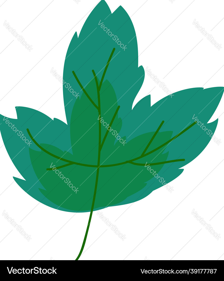 Growing tree green leaf garden eco nature Vector Image