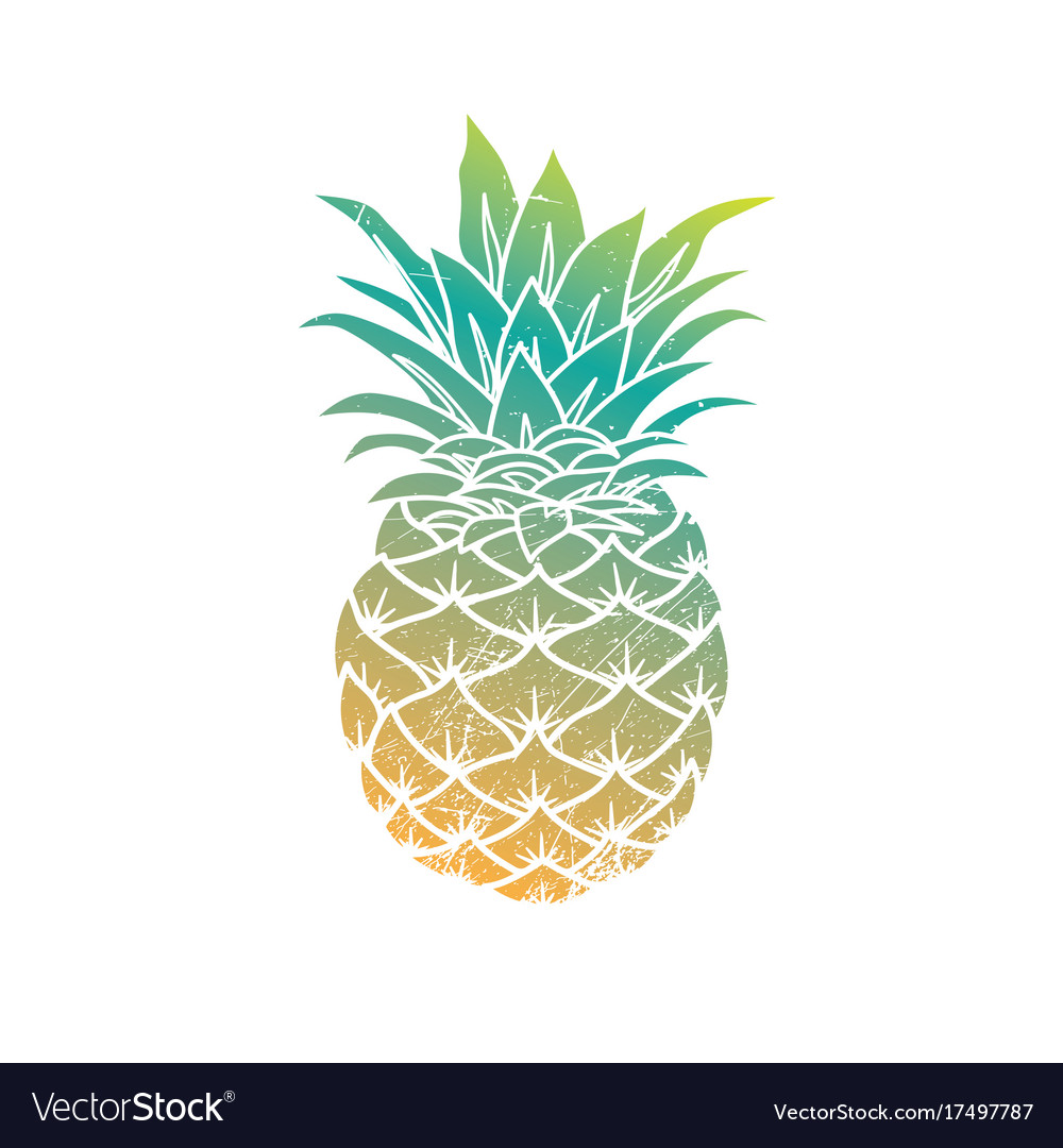 Pineapple modern Royalty Free Vector Image - VectorStock