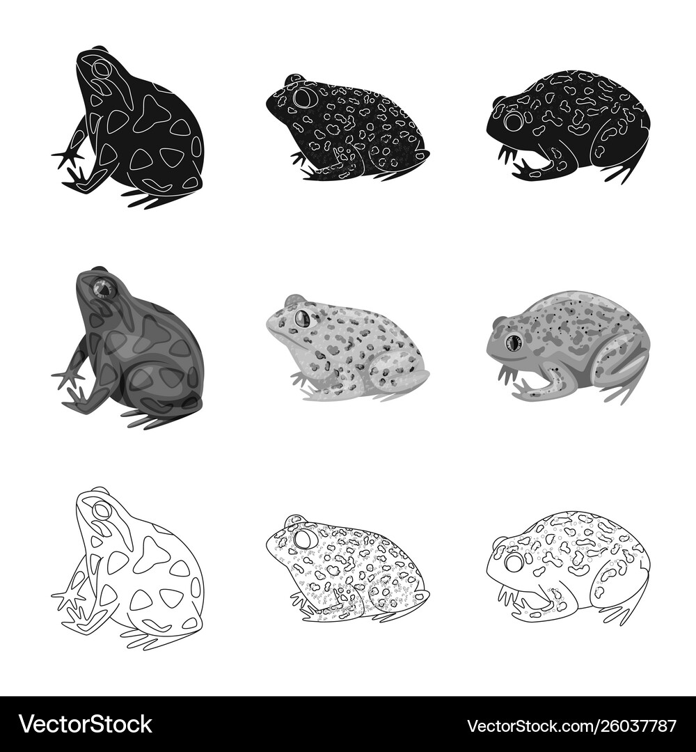 Wildlife and bog symbol Royalty Free Vector Image