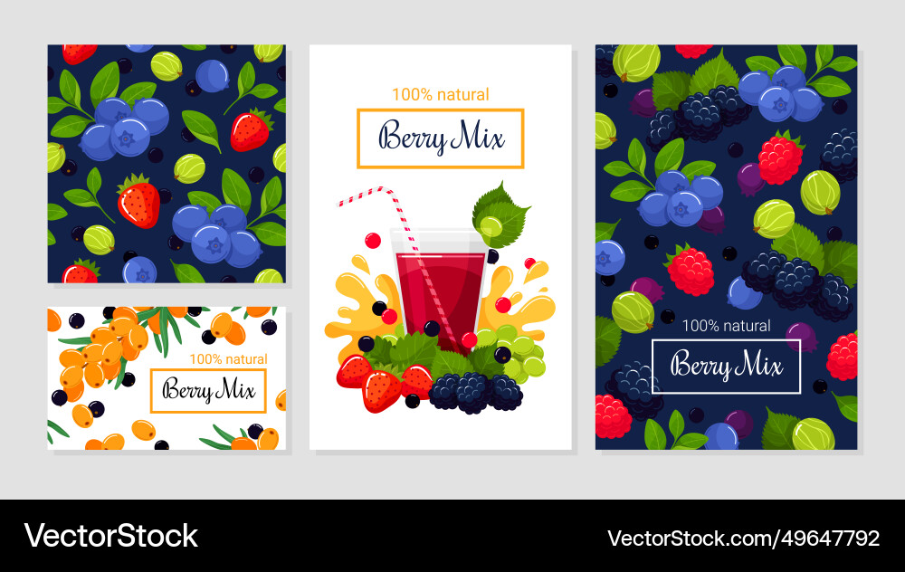 Berry mix natural fresh summer fruit card Vector Image