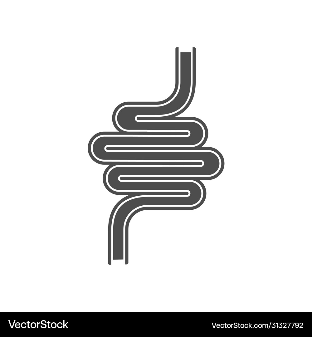 Intestine stock isolated on a white background Vector Image