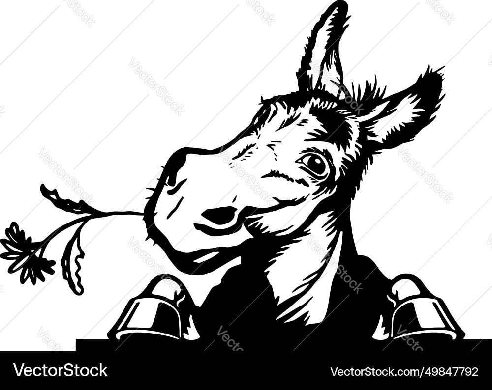 Peeking donkey stencil - peeking animal cut file Vector Image