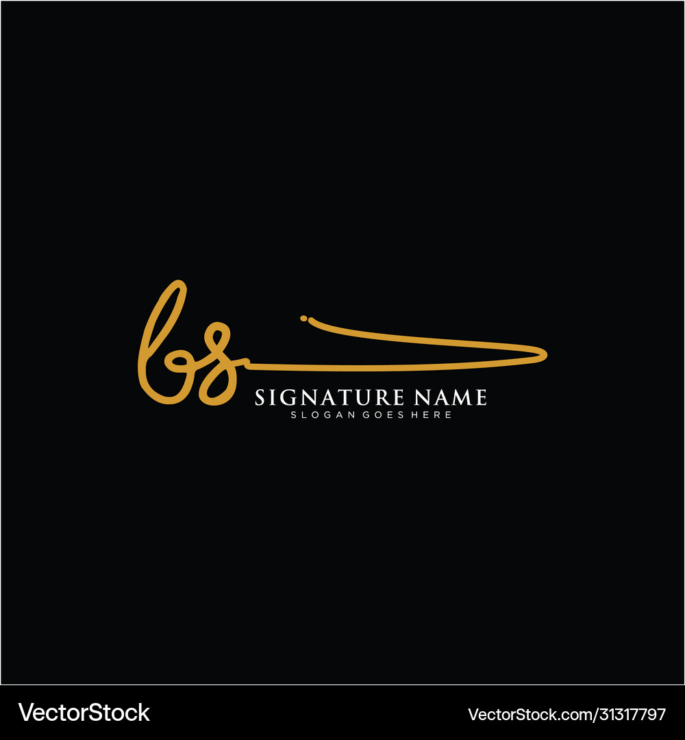 Letter bs signature logo template Royalty Free Vector Image