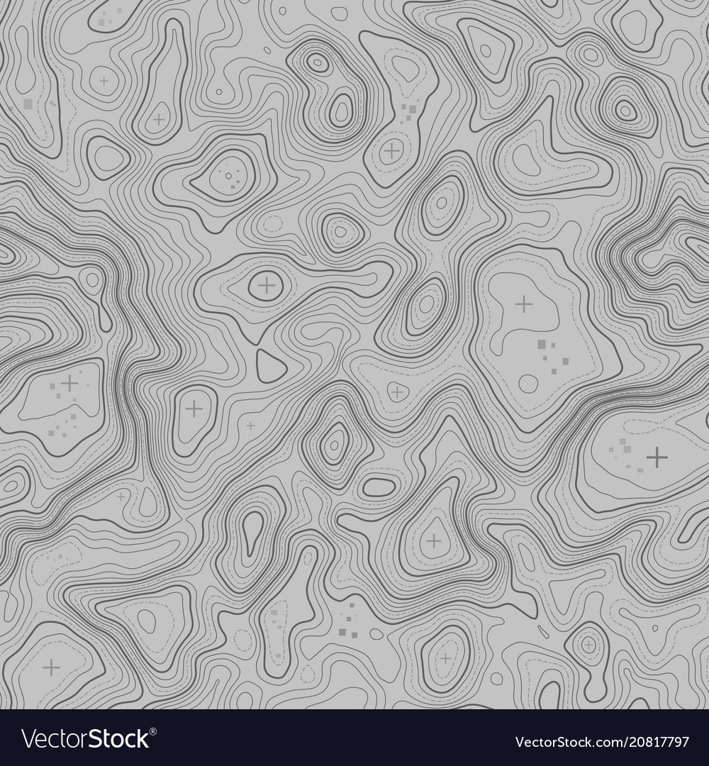 Seamless pattern topographic map background Vector Image