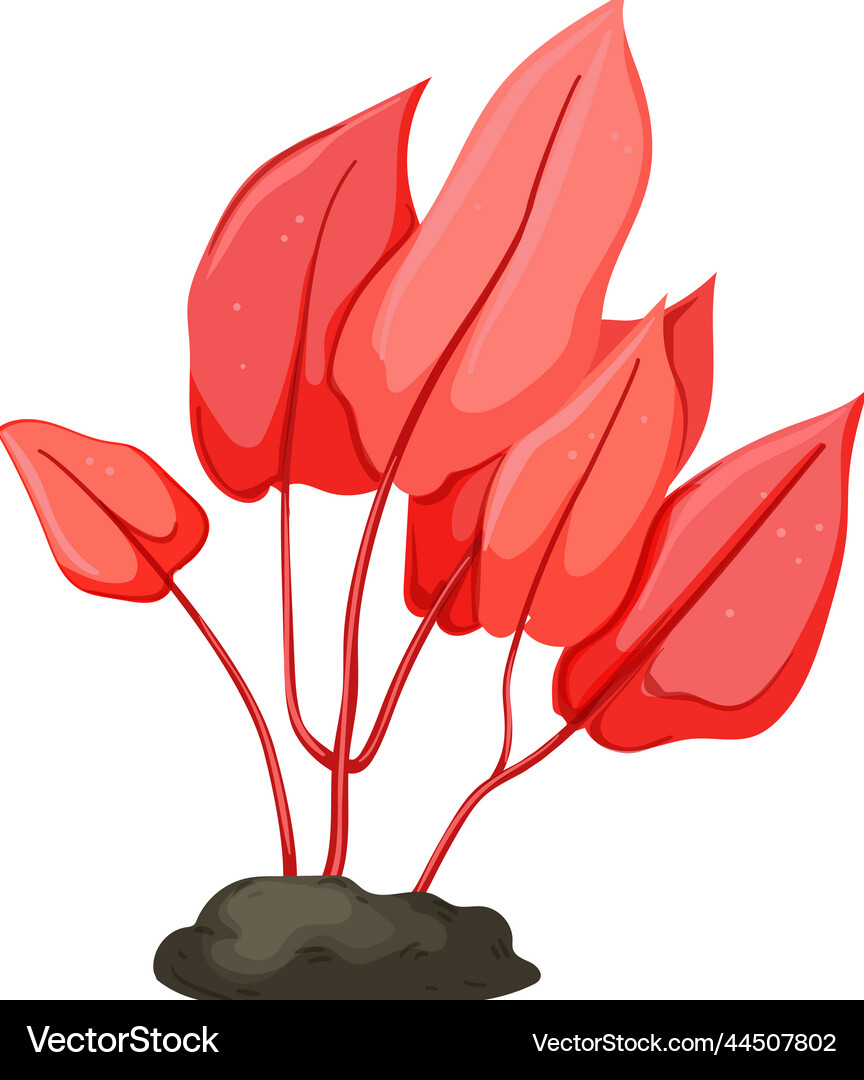 Underwater aquarium plant cartoon Royalty Free Vector Image