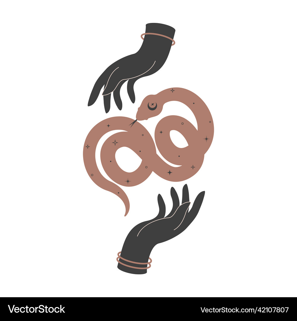 Magical hands with celestial snake spiritual Vector Image