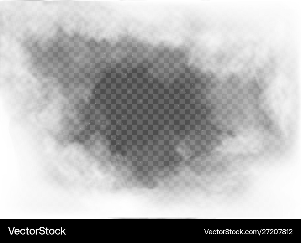 Fog and smoke isolated on transparent background Vector Image