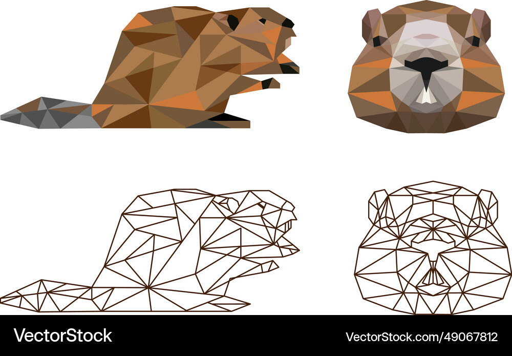 Geometric beaver made of triangles Royalty Free Vector Image