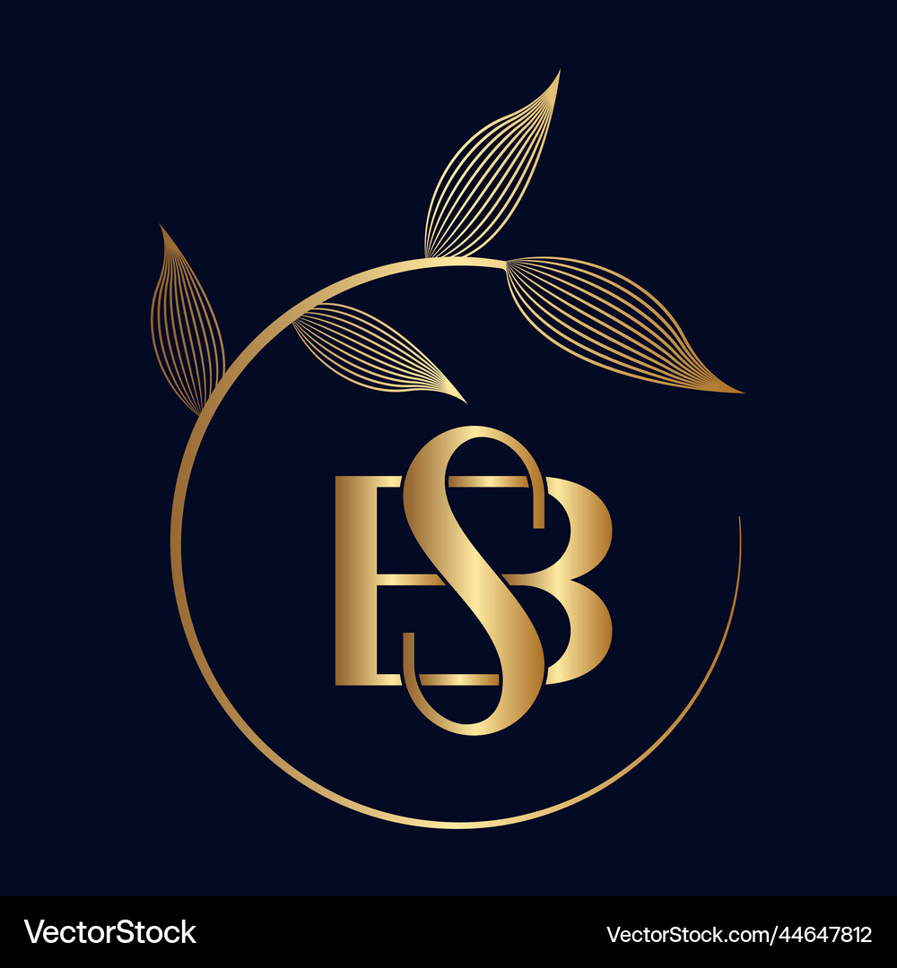 Gold bs or sb leaf beauty Royalty Free Vector Image