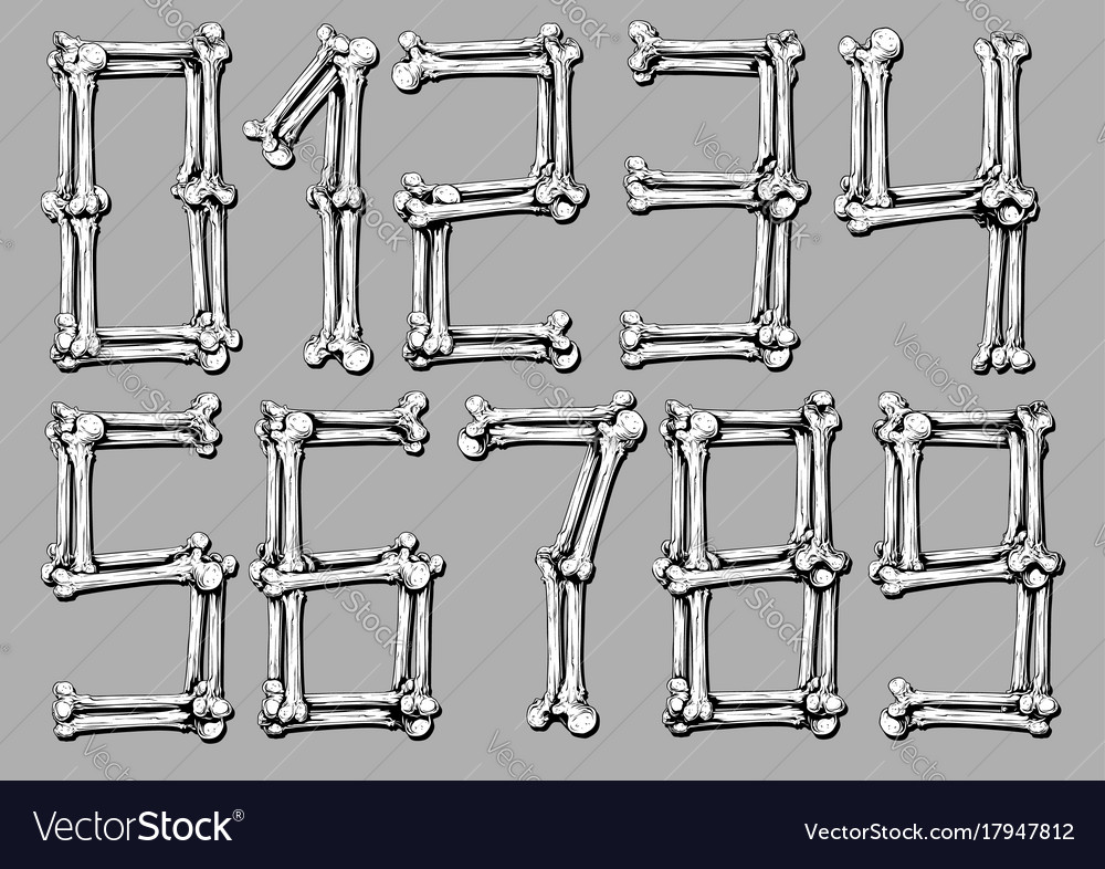 Graphic white realistic bones numbers set Vector Image Graphic white realistic bones numbers set Vector Image
