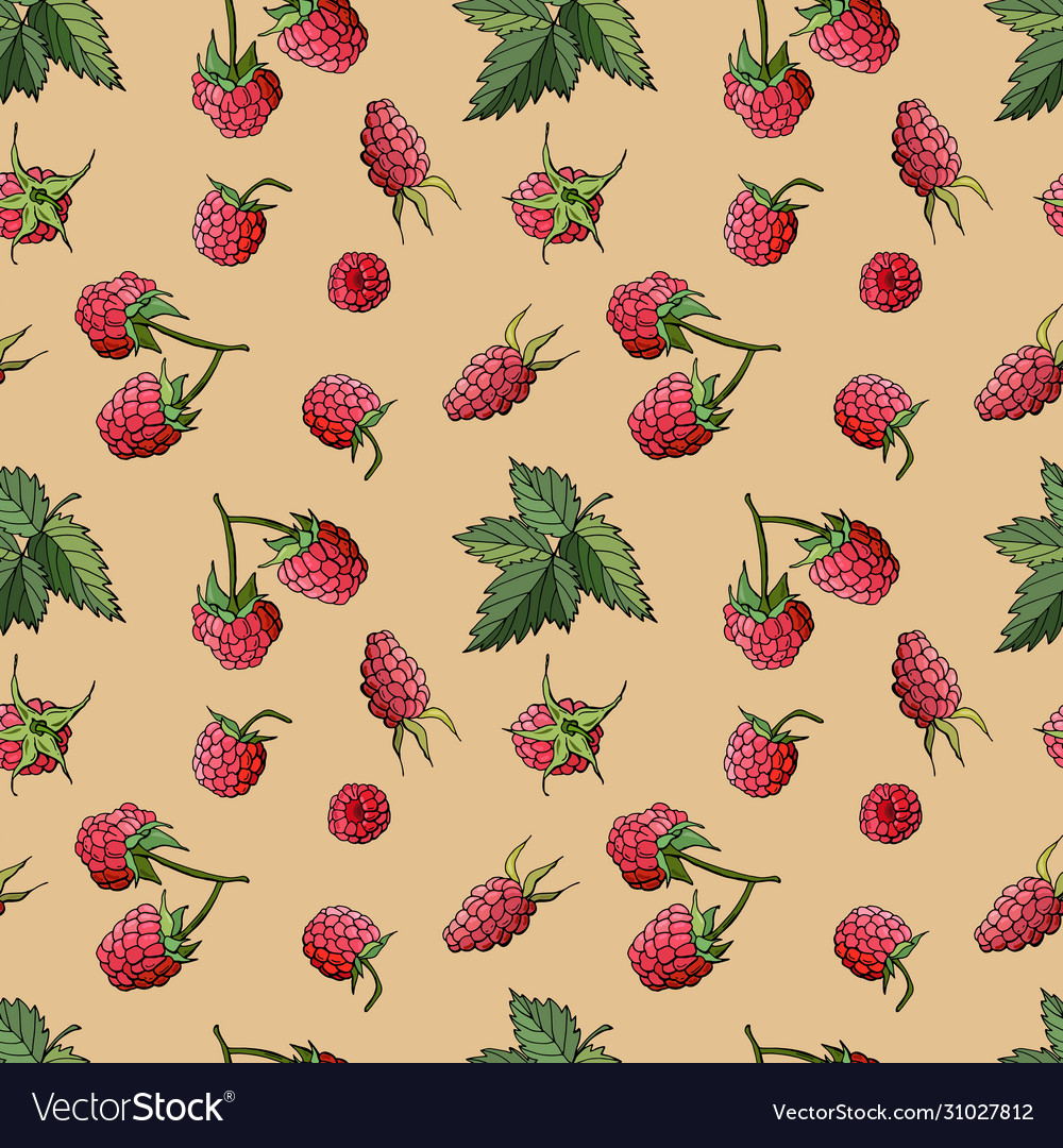 Seamless raspberry pattern Royalty Free Vector Image