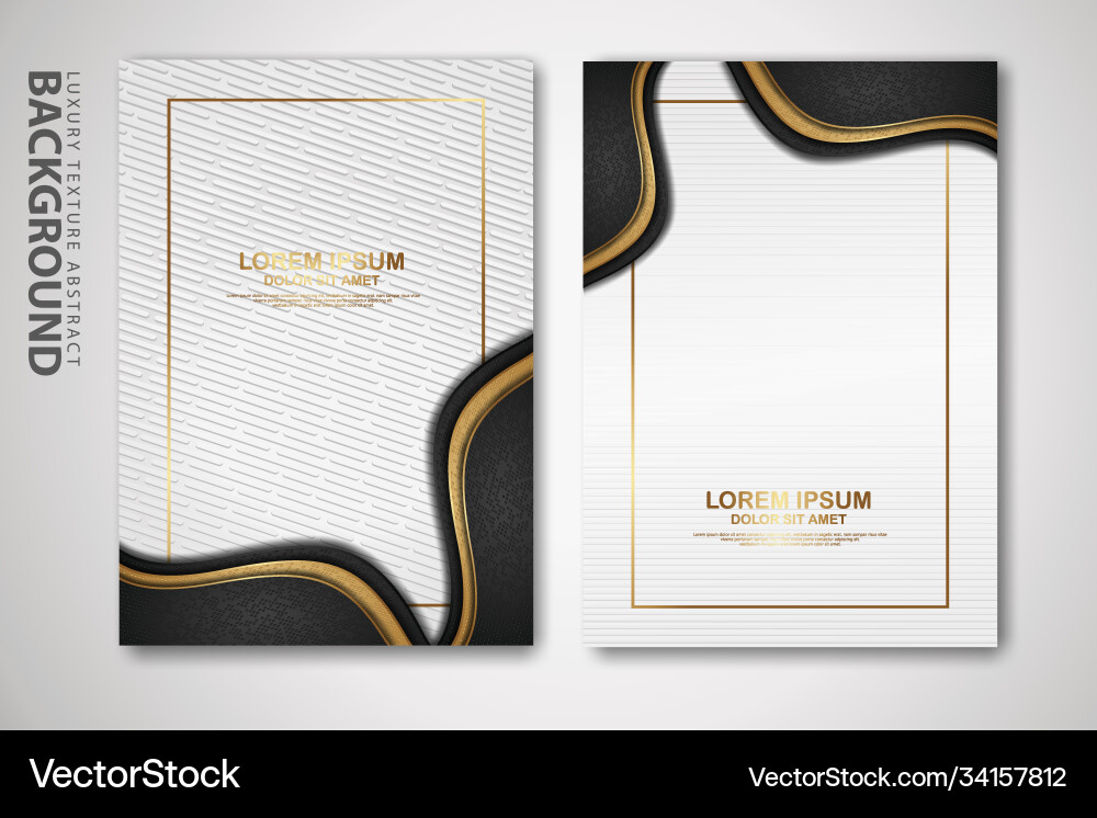 Two set cover design template with luxury and Vector Image
