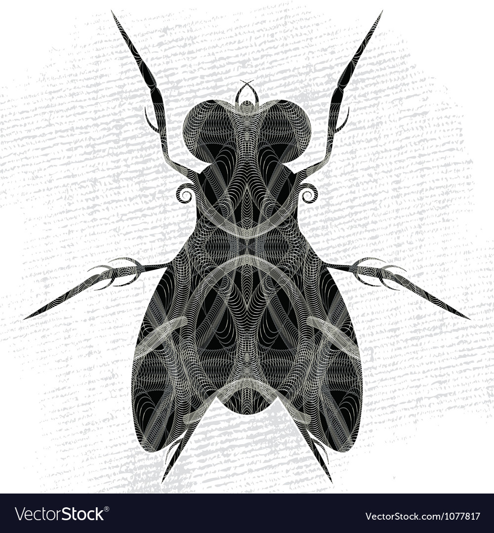 Fly Royalty Free Vector Image - VectorStock Fly Royalty Free Vector Image - VectorStock
