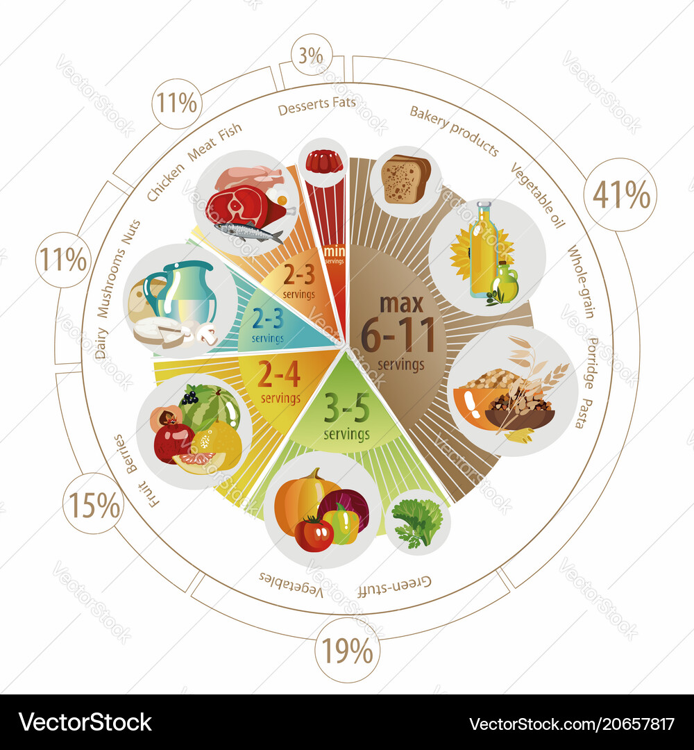 Food pyramid of pie chart Royalty Free Vector Image