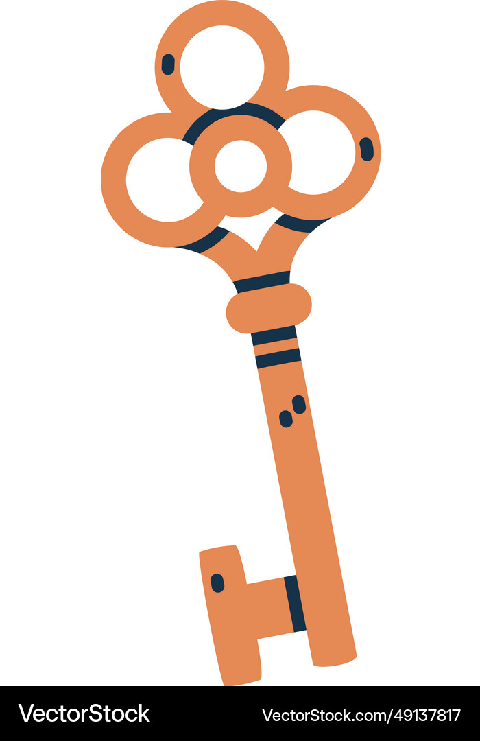 Metal brass key with ornate head Royalty Free Vector Image