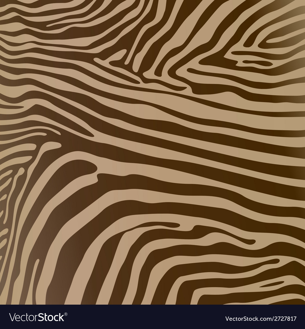 Savannah pattern background design elements zebra Vector Image