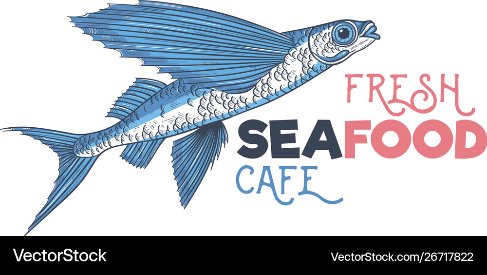 Exocoetidae or flying fish hand drawing Royalty Free Vector