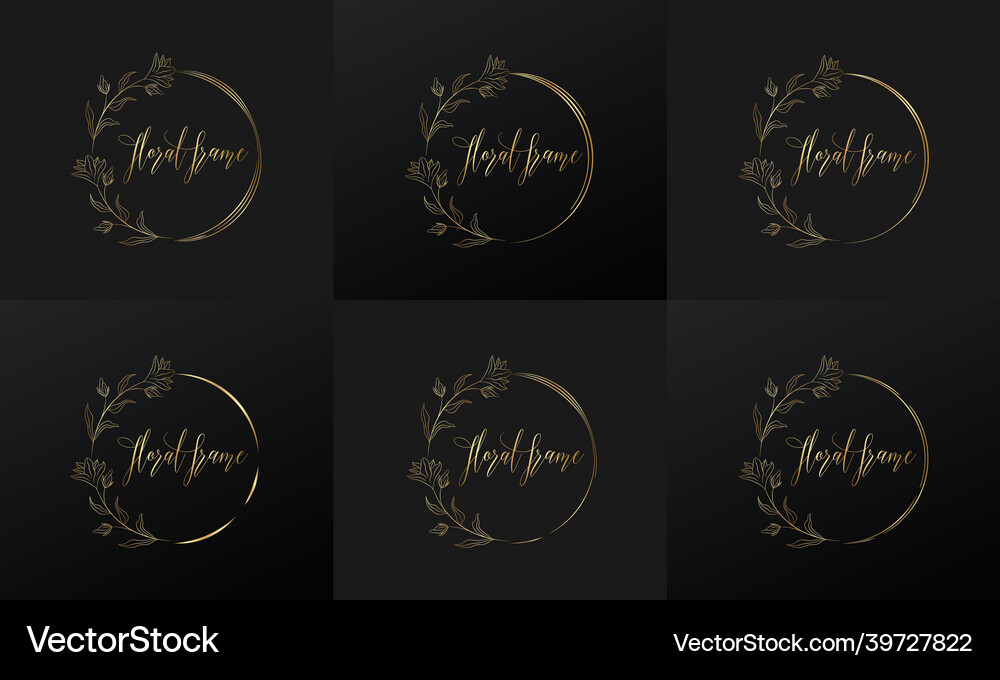 Luxury logo design collection for branding Vector Image