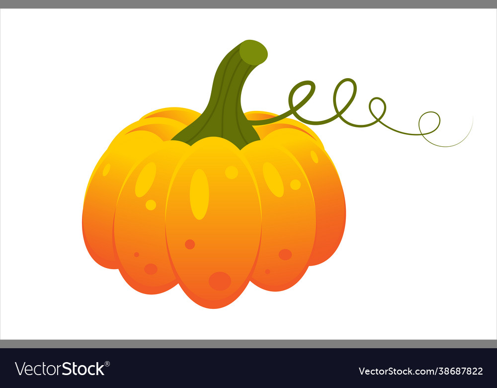 Pumpkin Royalty Free Vector Image - VectorStock