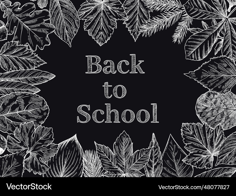 Back to school background autumn leaves design Vector Image