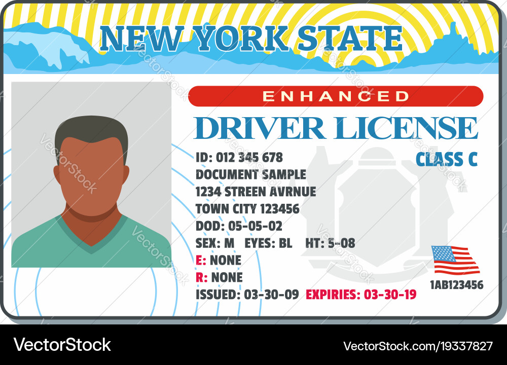 Driving license for new york icon flat style Vector Image