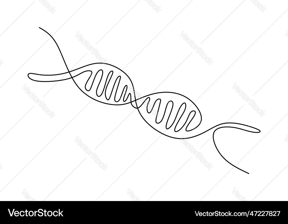 One continuous single line drawing of dna Vector Image