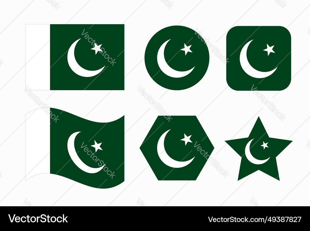 Pakistan flag simple for independence day Vector Image