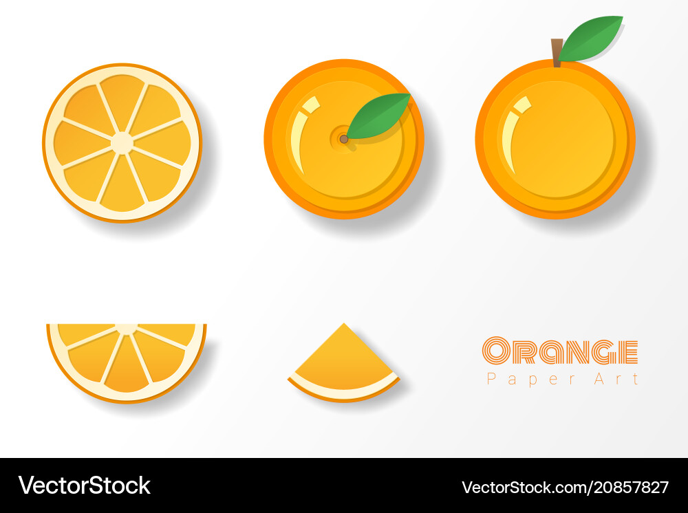 Set oranges in paper art style Royalty Free Vector Image