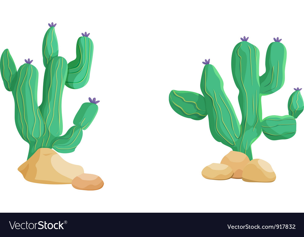 Cactus Royalty Free Vector Image - VectorStock