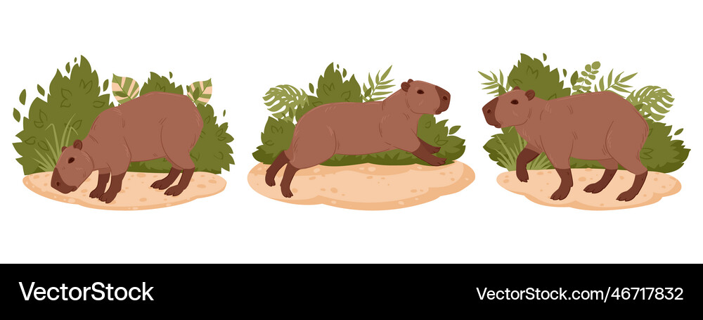 Capybara set cartoon wild herbivore mammals Vector Image
