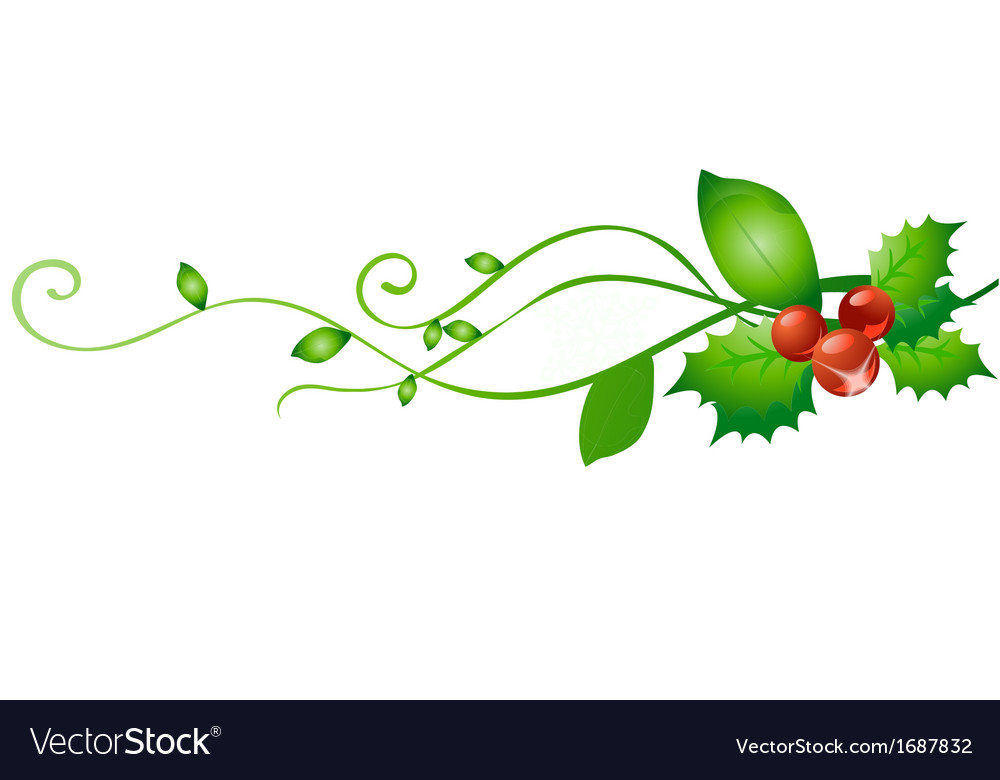 Holly design elements Royalty Free Vector Image