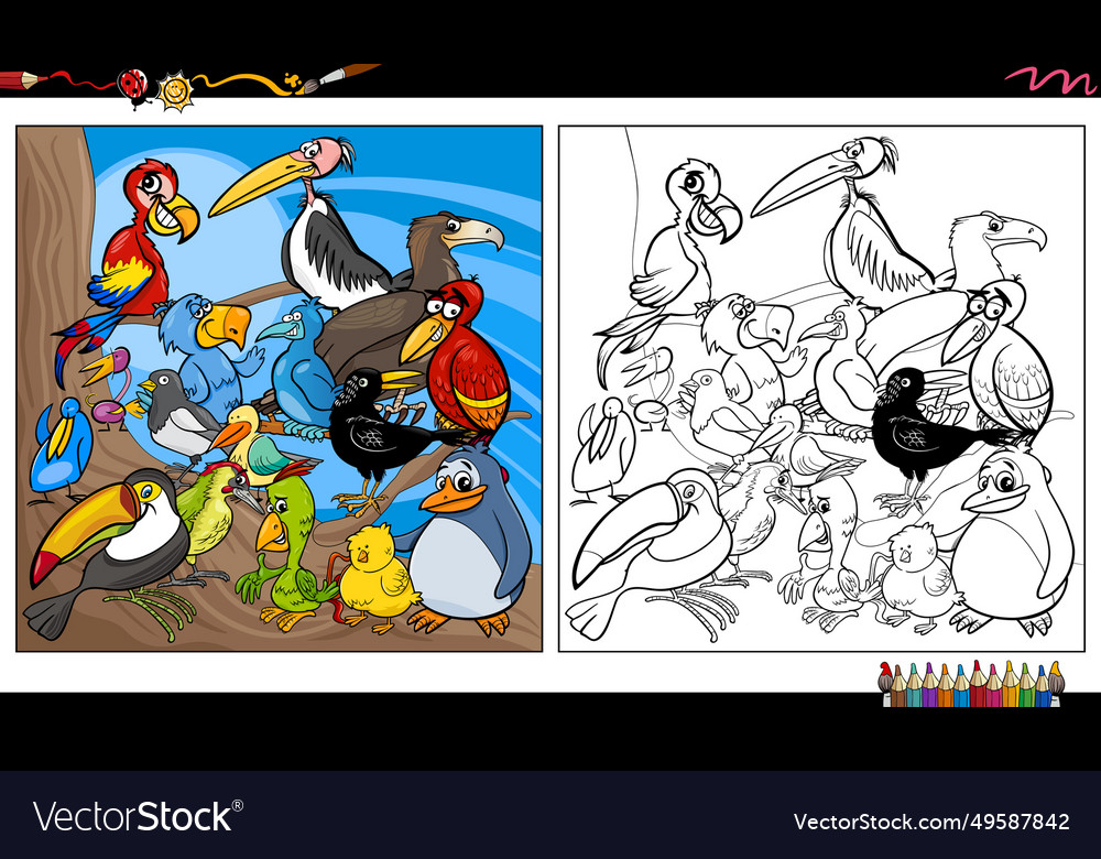 Cartoon colorful birds animal characters group Vector Image
