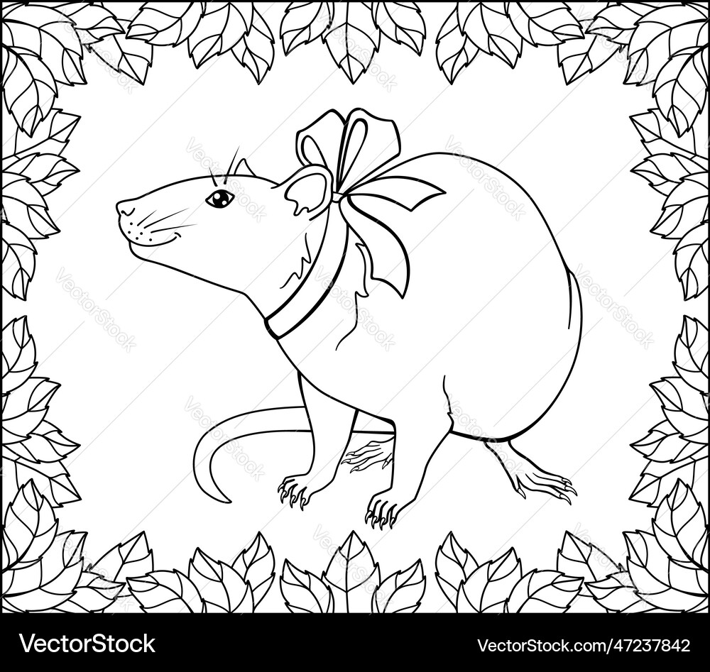 Fancy rat with a bow around the neck in a frame Vector Image